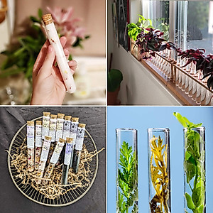 20x150mm 35ml Glass Test Tubes,20 Pcs Glass Test Tube with Cork Stoppers for Bath Salts,Candy Storage,Plants,Science Themed Party and Home Decoration