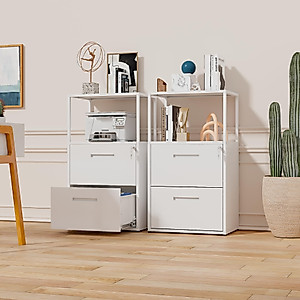 Fesbos File Cabinet with Shelves & 2 Lockable Drawers - Home Office Lockable Lateral Filing Cabinet for Hanging Files Letter/Legal/F4/A4 Size - Assembly Required