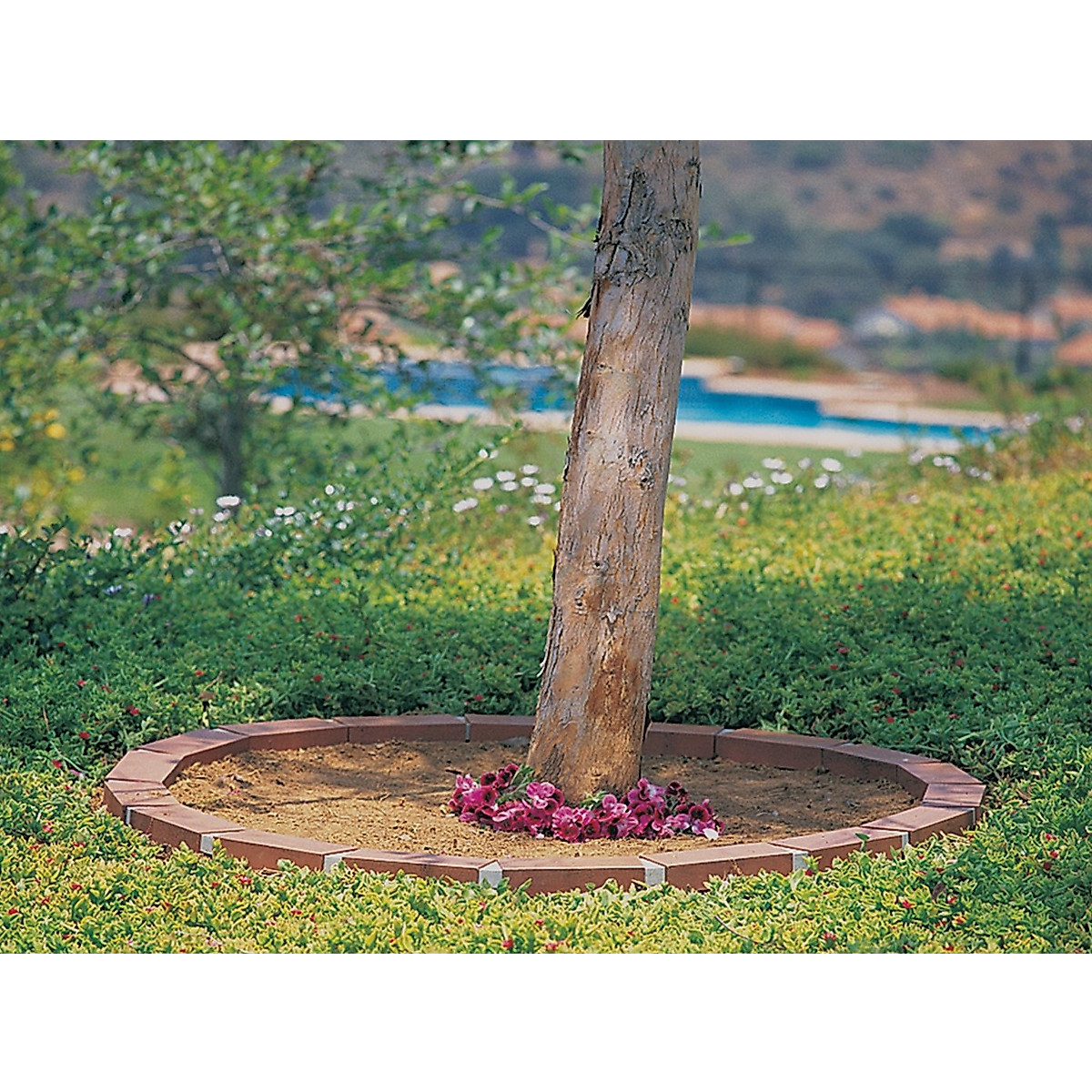 Argee RG825 Lets Edge It Decorative Plastic Brick Edging, no lights, 25 feet, Terra Cotta