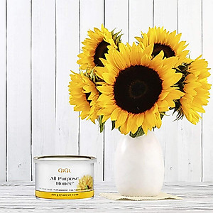 GiGi Professional Waxing Hair Removal Student Starter Kit + Honee Wax, 14 Ounces