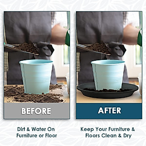 MegaSprout 6 Plant Saucer Trays 9 Inch | Sturdy Plastic Plant Trays for Pots & Planters | Protect & Enhance Surfaces with Black Round Flower Pot Saucers | Large Plant Saucers for Indoors