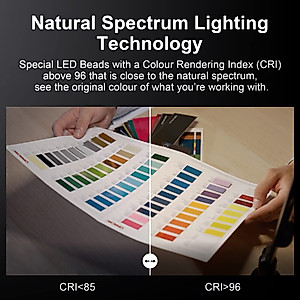 Yeslamp Evo Adjustable LED Desk Lamp, Professional Grade Table Light with 6 Axis Swing Arm, Video Conference Lighting, Architect Desk Lamp, Natural Spectrum Lights for Painting, Reading, Home Office