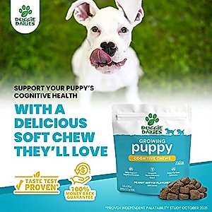Doggie Dailies Cognitive Puppy Chews | Puppy Vitamins with DHA, Selenium, Organic Ashwagandha & Antioxidants to Support Brain Health, Nervous System Function & Promote Calmness | 120 Soft Chews