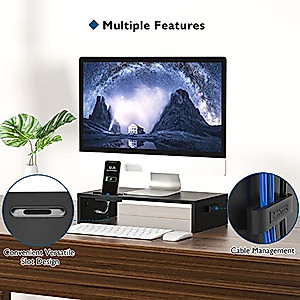 1home Monitor Stand Riser, 16.7 Inch Wood Monitor Riser Stand with Storage Organizer, Desktop Ergonomic Monitor Stand Riser with Cellphone Holder and Cable Management, Black