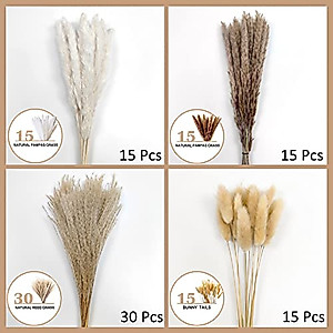 Pampas Grass Boho Home Decor, 75Pcs Natural Dried Carefully Hand-Picked Fluffy Pompas Grass 17", White & Brown Pampas Grass, Reed, Bunny Tails for Flower Arrangements Boho Wedding Home Décor