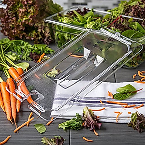 Carlisle FoodService Products 10271U07 StorPlus Third Size Polycarbonate Universal Handled Notched Food Pan Lid, Clear