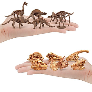 GAICOM Dinosaur Head Skeleton Fossil Assorted Bones Playsets 23 PCS Action Figures Model Toys for Kids