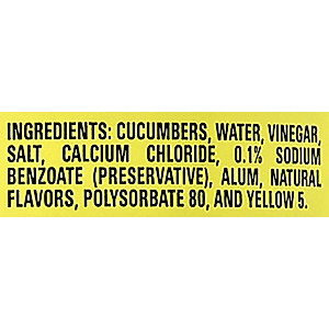Mt. Olive Hamburger Dill Chips Pickles, 16 oz