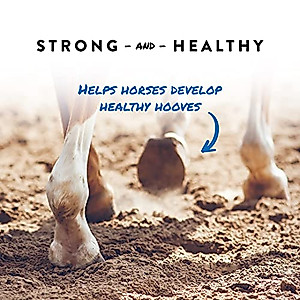 Manna Pro Sho-Hoof Supplement for Horses | Biotin and Zinc Methionine for Healthy Hooves | 5 Pounds