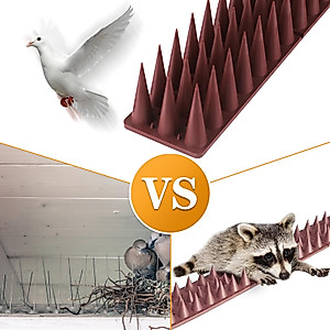 BORHOOD Bird Spikes, 20 Pack Bird Deterrent Spikes for Small Birds Pigeon Squirrel Raccoon Crow Cats Bird Defender Spikes for Outside to Keep Birds Away