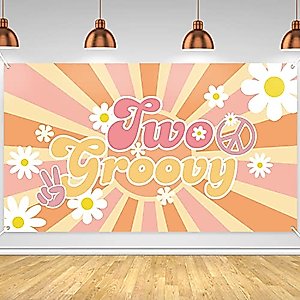 PANTIDE Two Groovy Retro Hippie Boho Girl Party Backdrop Banner Daisy Flower Groovy XtraLarge Photography Background Wall Decor Hippie Birthday Party Decoration Supplies for Baby Girls 2nd Birthday