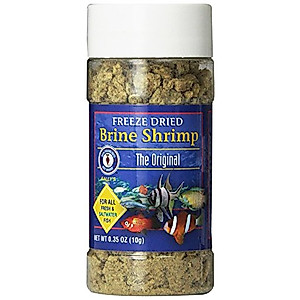 San Francisco Bay Brand ASF71104 Freeze Dried Brine Shrimp for Fresh and Saltwater Fish, 10gm