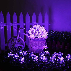 Qedertek Solar String Lights, Cherry Blossom 22ft 50 LED Waterproof Flower Outdoor String Lights for Patio,Lawn,Garden,Holiday,Halloween Solar Lights,and Festivals Decorations (Purple)