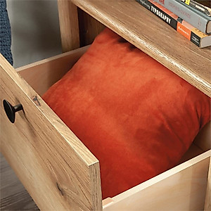 Sauder Dover Edge Engineered Wood Night Stand in Timber Oak Finish