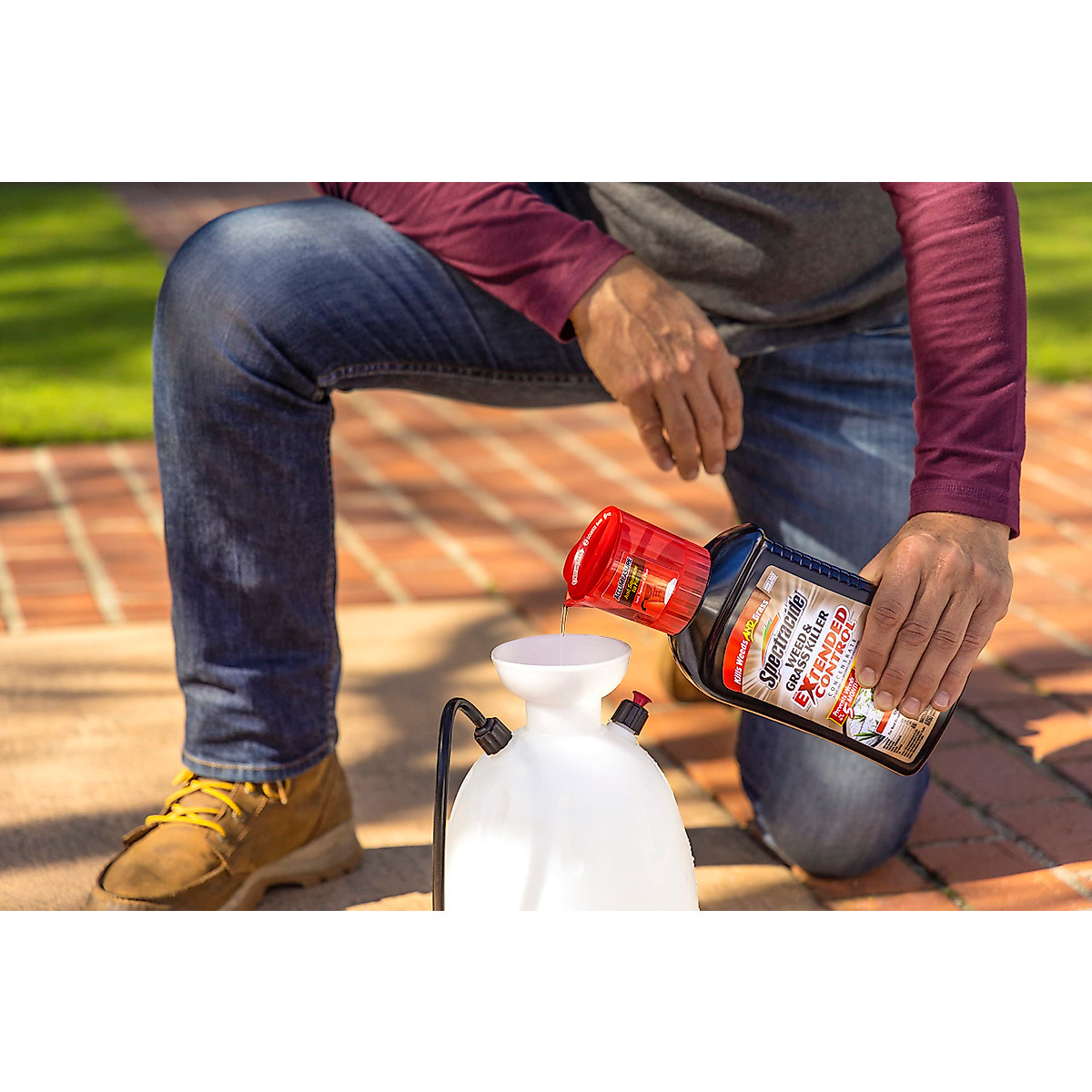 Spectracide Weed and Grass Killer with Extended Control Concentrate, 32 Ounces, with Accumeasure System