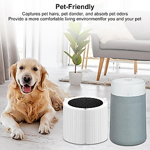 NXBHG Blue Pure 411i/411a Max Replacement Filter Compatible with Blue Pure 411i/411a Max Air Purifier. Blue Pure F4MAX, 3-in-1 H13 Ture HEPA and High-Efficiency Activated Carbon Filters, 2 Pack.