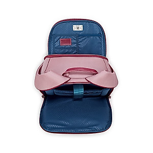 DELSEY Paris Chatelet 2.0 Travel Laptop Backpack, Pink, One Size