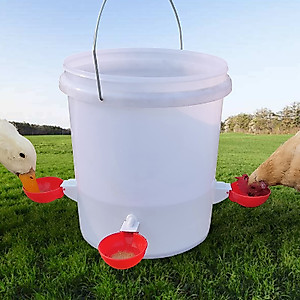 Chicken Water Cups, Automatic Chicken Waterer Cup 6PCS, Chicken Feeding Cup 2PCS, Poultry Watering Cups, Chicken Waterer Cup Kit Suitable for Chicken Duck Turkey Rabbit.