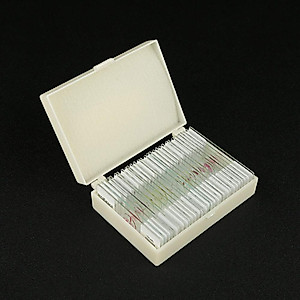 Prepared Parasitology Microscope Slide Set, Excellent 30pcs Slides Resource for Instruction at The College Level (Parasitology)