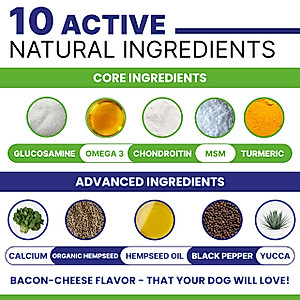 ADVANCED Hemp Hip & Joint Supplement for Dogs - Glucosamine for Dogs - Dog Joint Pain Relief Treats - Chondroitin Turmeric MSM Hemp Oil - Hemp Treats for Joint Health - Senior Mobility Support Chew
