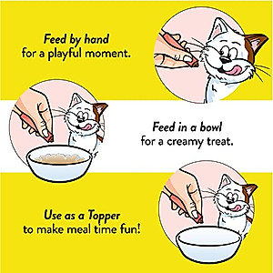 Temptations Creamy Puree with Salmon Lickable, Squeezable Cat Treats, 0.42 oz Pouches, 24 Count