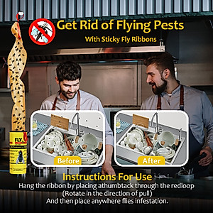 Fly Traps for Indoors Outdoor, Fly Paper Strips Sticky Hanging, Fruit Fly Strips,Fly Tape Catcher Ribbon, Fruit Fly Gnat Trap Killer Fly Traps for Inside Home(35 Pack)