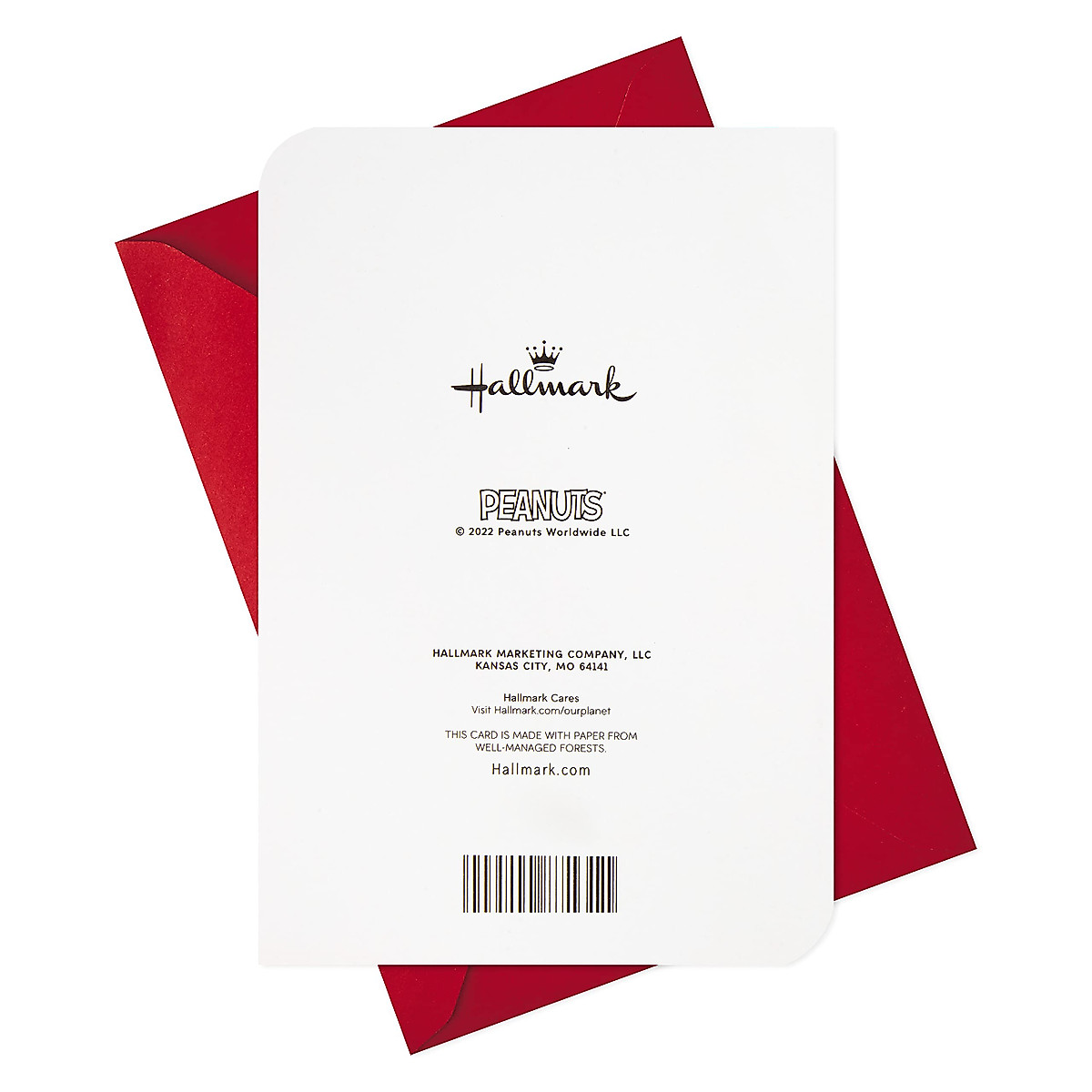 Hallmark Pack of 3 Peanuts Valentines Day Cards (Snoopy and Charlie Brown)