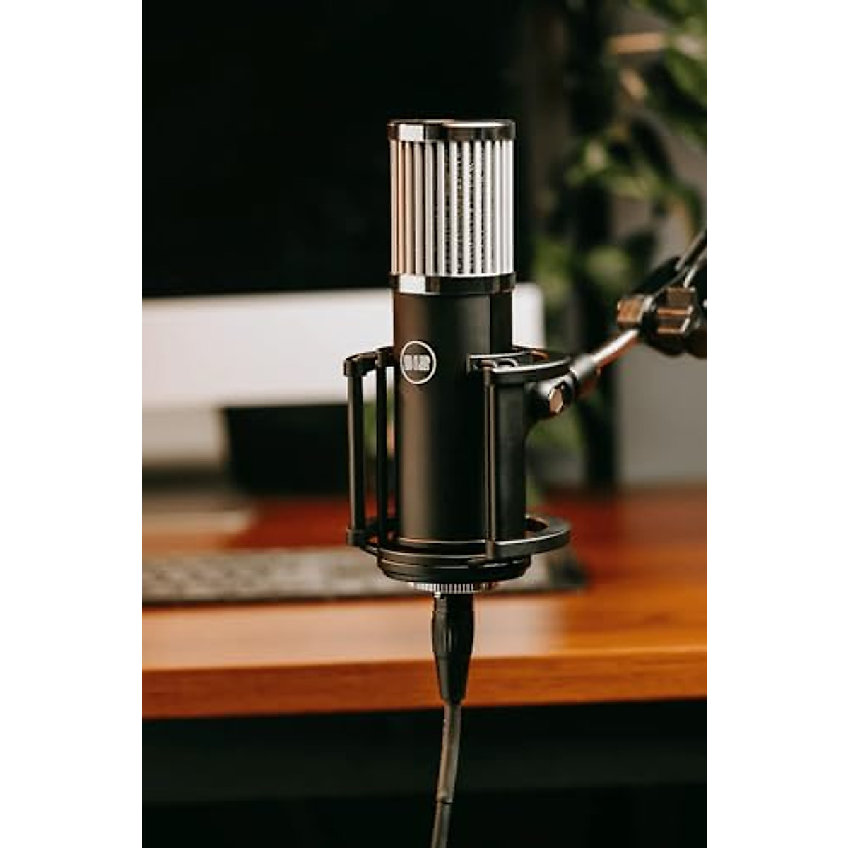 512 Audio by Warm Audio Skylight Large Diaphragm Studio Condenser XLR Microphone + Shock Mount + Bag for Recording and Podcasting