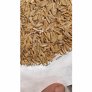 Green Lacewing Eggs - 10,000 Live Eggs Packed in Rice Hulls