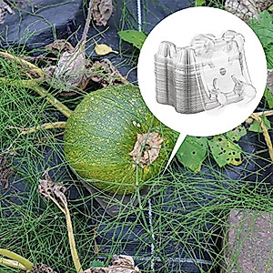 kemengsuer 100 Pieces Plastic Melon Cradle, Fruit & Vegetable Cradle Stands, Holds up to 20 lbs, Clear Plastic Melon Support Cradle for Keep Watermelon Off of The Ground(13.5 x 10.5cm/5.11 x 4.13inch)