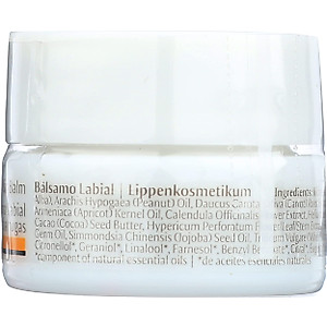 Dr. Hauschka Lip Balm, 0.15 Fluid Ounce
