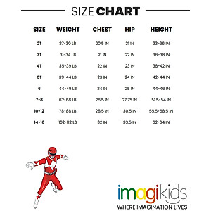 Power Rangers Toddler Boys T-Shirt and Mesh Shorts Outfit Set Blue/Black 5T