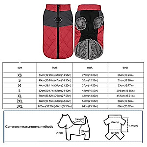 HonpraD Pet Clothes for Small Dogs Girls Dress Reflective Waterproof Pet Coat Winter Warm Dog Coat for Small Medium Large Dog