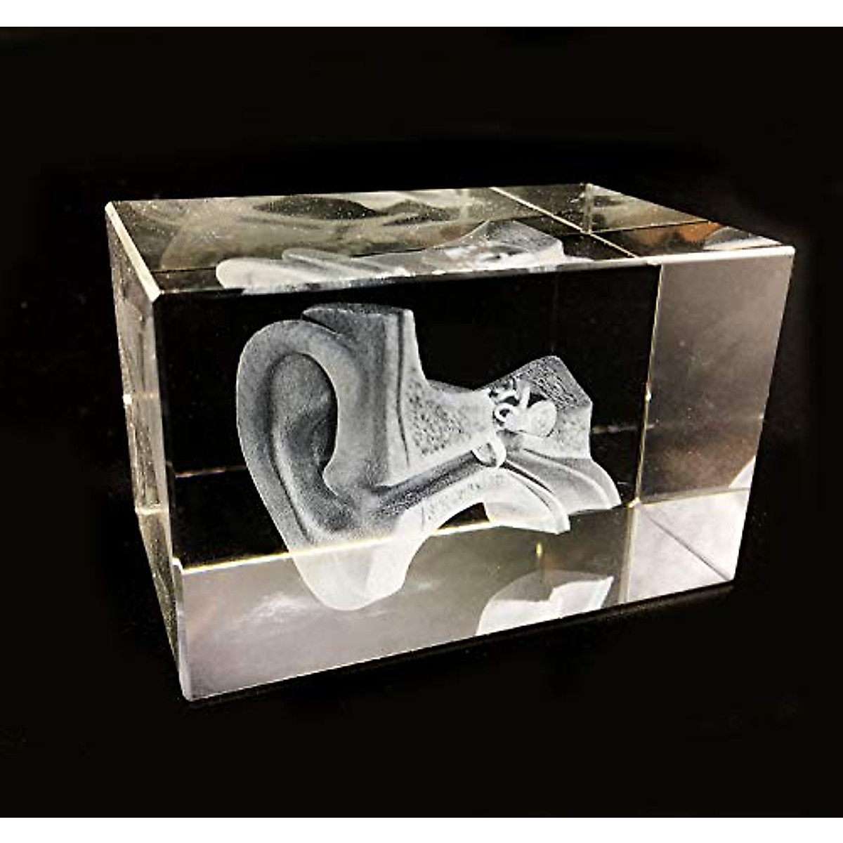3D Human Ear Anatomical Model Paperweight(Laser Etched) in Crystal Glass Cube Science Gift (No Included LED Base)(3.1x2x2 inch)
