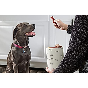 Pearhead Bone Appetite Treat Jar, Ceramic and Wood Pet Treat Canister, Modern Neutral Color Home Kitchen Accessories, Dishwasher Safe, Silicone Seal Lid For Freshness, Dog Biscuit Storage