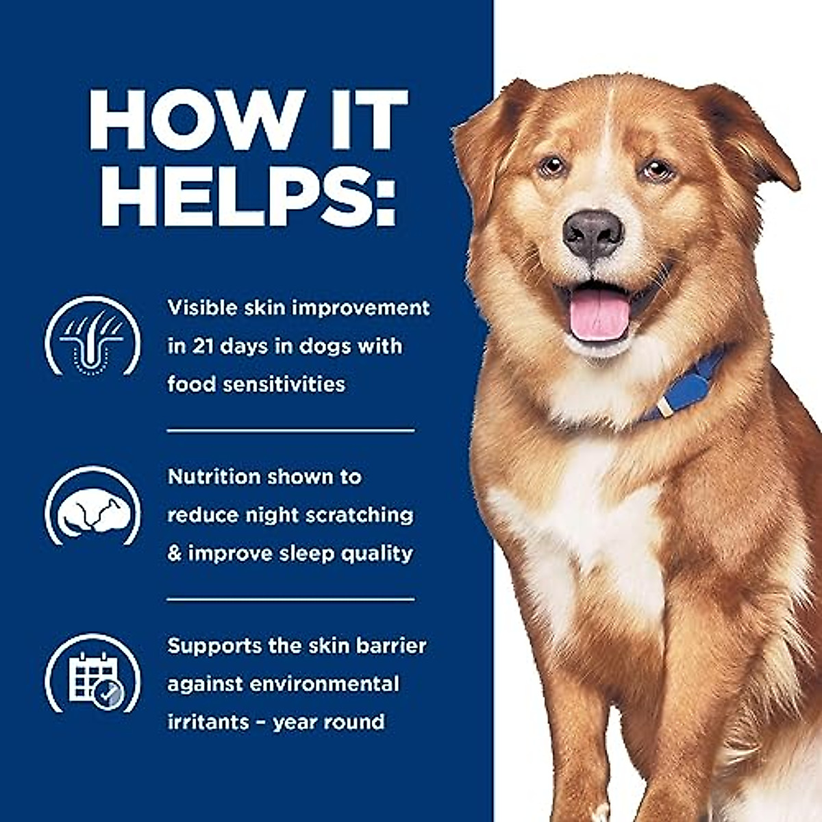 Hill's Prescription Diet Derm Complete Skin & Food Sensitivities Dry Dog Food, Veterinary Diet, 6.5 lb. Bag