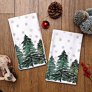 ARKENY Christmas Kitchen Towels Set of 2,Green Xmas Tree Snowflake Dish Towels 18x26 Inch Drying Dishcloth,Farmhouse Nobel Home Decoration AD140