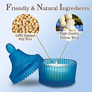 Scented Candles Gift for Women, Soy Candles with Luxury Candle Jar and Lid for Home Scented, Aromatherapy Candle Gifts Set for Christmas Day, Birthday, Mothers Day, Valentine's Day (Daisy, Small)