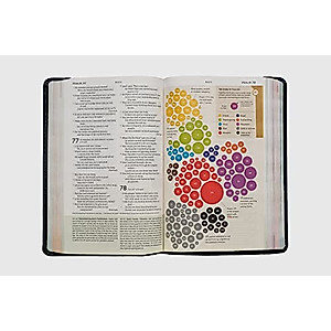 NLT Student Life Application Study Bible, Filament Enabled (LeatherLike, Charcoal Gray Striped, Red Letter)