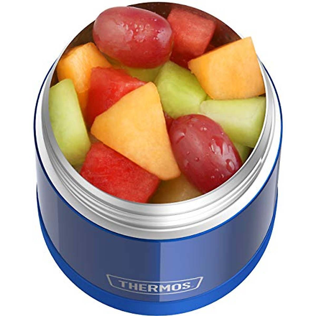 THERMOS FUNTAINER 10 Ounce Stainless Steel Vacuum Insulated Kids Food Jar, Blue