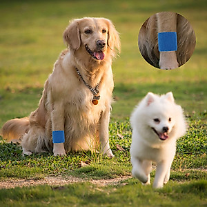 Mooerca 12 Pack Self Adherent Cohesive Wrap Bandages 2 Inches X 5 Yards, First Aid Tape, Elastic Adhesive Athletic, Sports wrap Bandage for Sports, Wrist, Ankle (Rainbow)