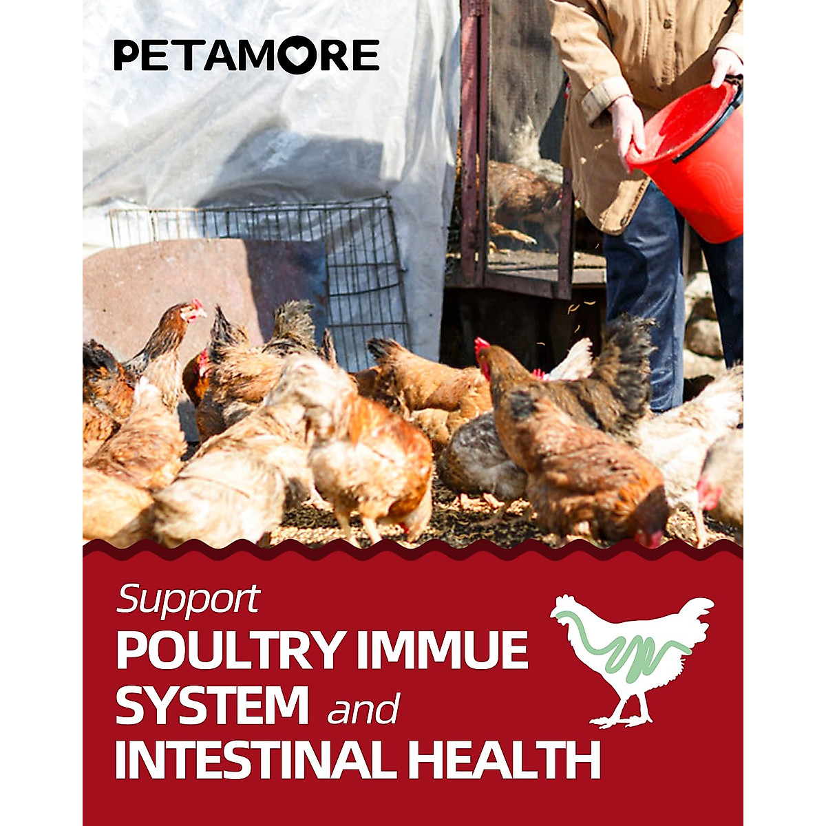 Dried grubs for Chicken -Alternative to Dried mealworms for Chickens-Dried Black Soldier Fly Larvae for Laying hens Backyard Flock Party Poultry, Fowl, Reptiles, Amphibian etc