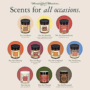 Meaningful Mantras Snickerdoodle Cookie Aromatherapy Fall Candle 8oz