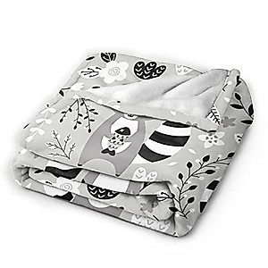 Cute Raccoon Throw Blanket Super Soft Warm Bed Blankets for Couch Bedroom Sofa Office Car, All Season Cozy Flannel Plush Blanket for Girls Boys Adults, 60"X50"