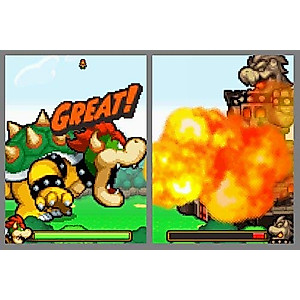 Mario & Luigi Bowser's Inside Story (Renewed)