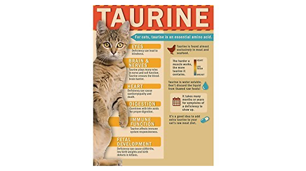 Cat-Man-Doo XL Dried Bonito Flakes for Pets - 4oz Pack