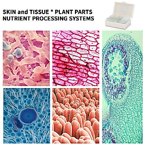 USCAMEL 40X-1000X Magnification LED Binocular Compound Microscope,Professional Compound Microscope with Wide-Field 10X 25X Eyepieces,Microscope Slides,Phone Adapters,Cleaning Paper