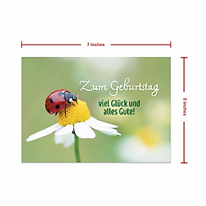 Burg Street Creations German Birthday Card - Zum Geburtstag Viel Glück und Alles Gute (Ladybug on a Daisy)