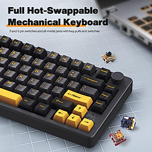 GK GAMAKAY TK75PRO Aluminum Alloy Mechanical Keyboard, Gasket Mounted, Hot Swappable KTT Hyacinth Switch 2.4GHz Wireless BT5.0/USB-C 75% 81 Keys Custom RGB Gaming Keyboard for Win/Mac (Milky White)