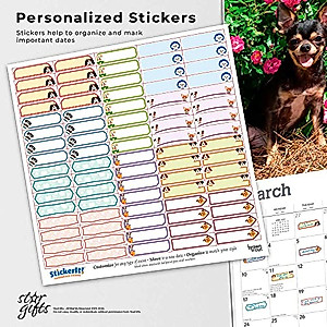 The Beauty of Chihuahuas | 2024 14 x 24 Inch Monthly Deluxe Wall Calendar | Sticker Sheet | StarGifts | Animal Dog Breeds